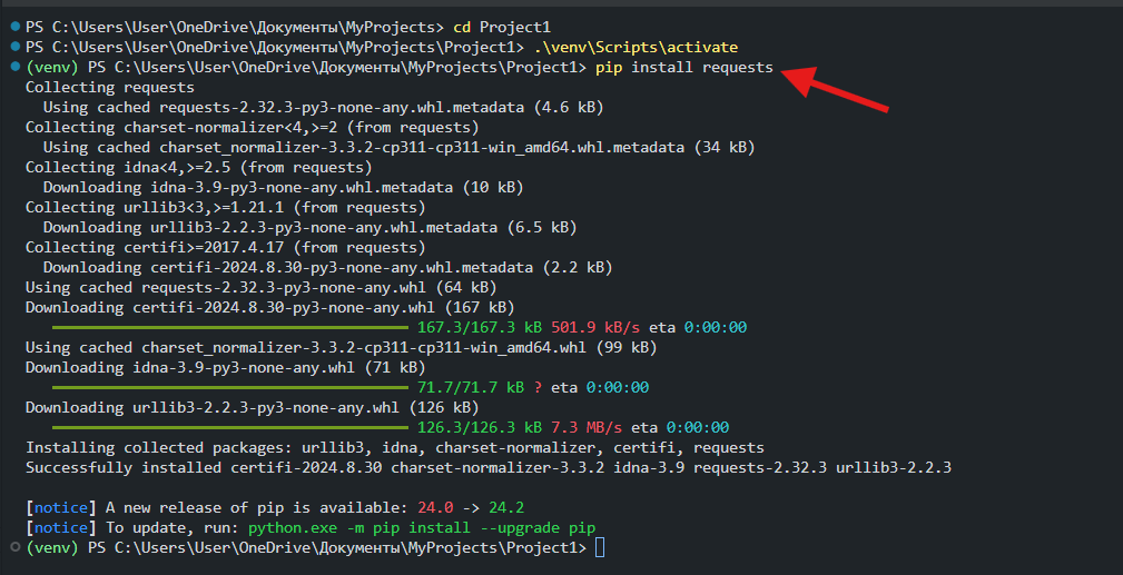 Виртуальное окружение venv в Python
